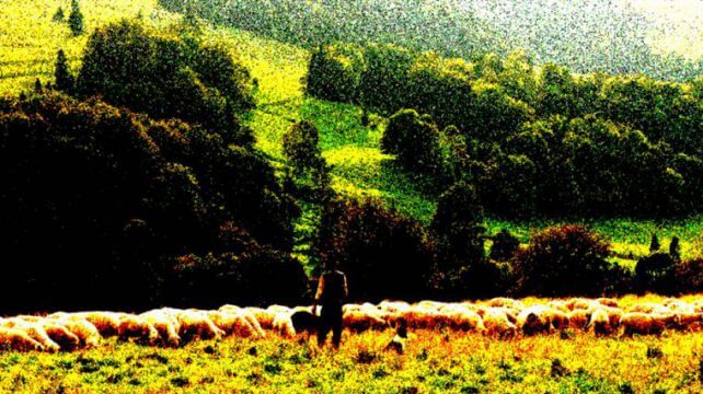 THE GREAT TRANSITION | IMMANUEL CONRAD MINISTRIES.